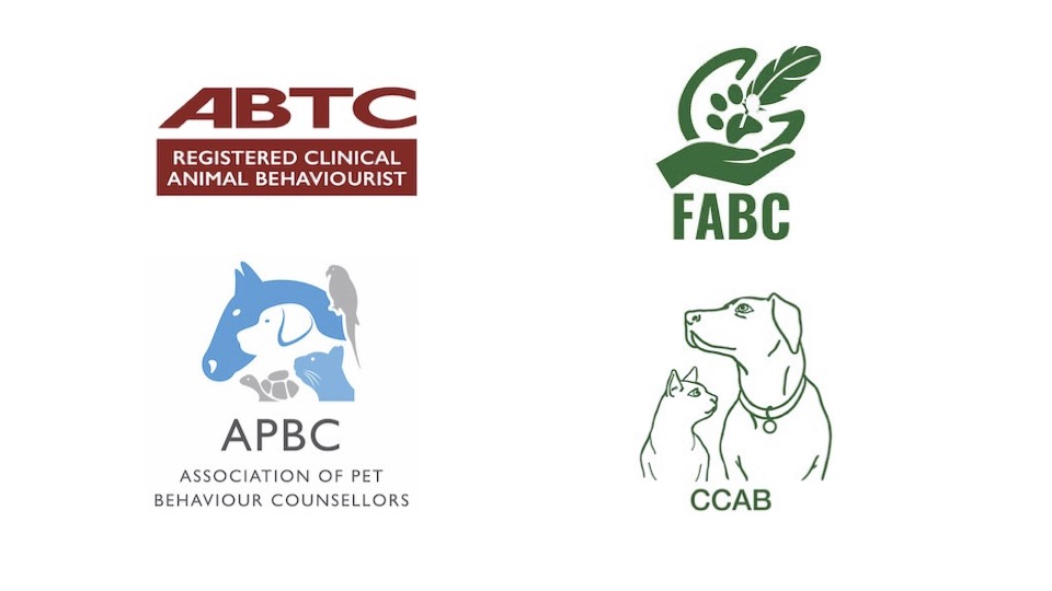 Clinical Animal Behaviourist – James Carroll Dogs